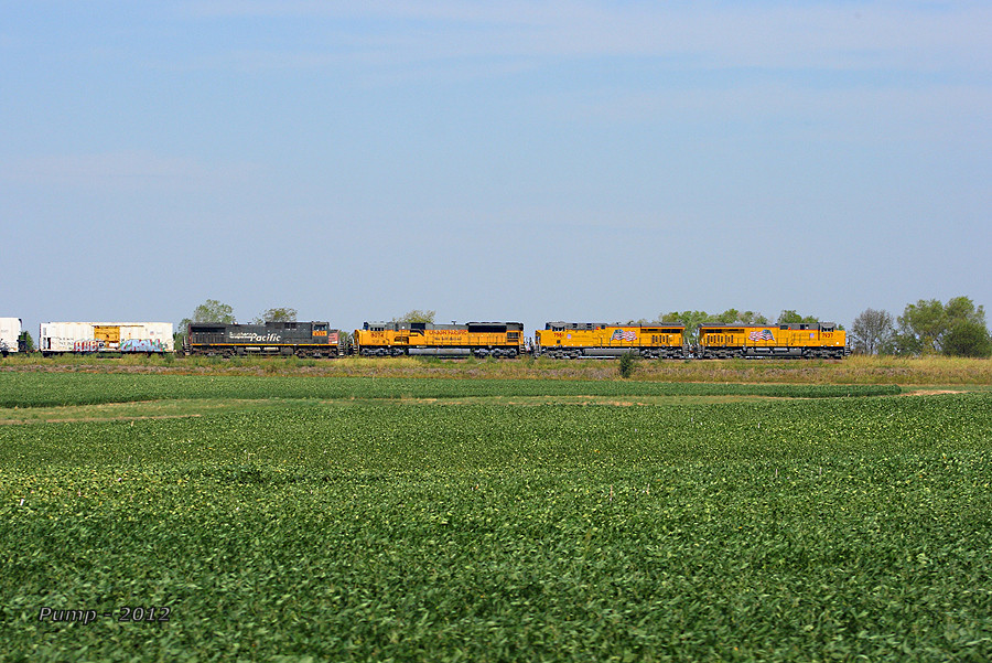 Northbound UP Manifest Train